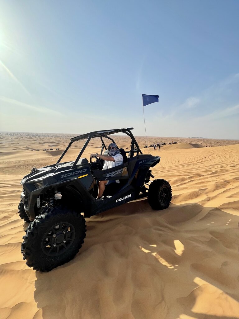 Curriculo Ricardo Videira